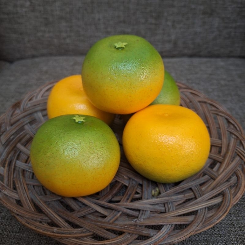 Jual Buah jeruk lokal artificial jeruk pajangan hiasan etalase jeruk ...
