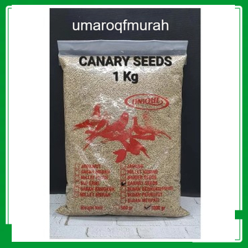 Jual KENARI SEEDS KEMASAN 1 KG | Shopee Indonesia