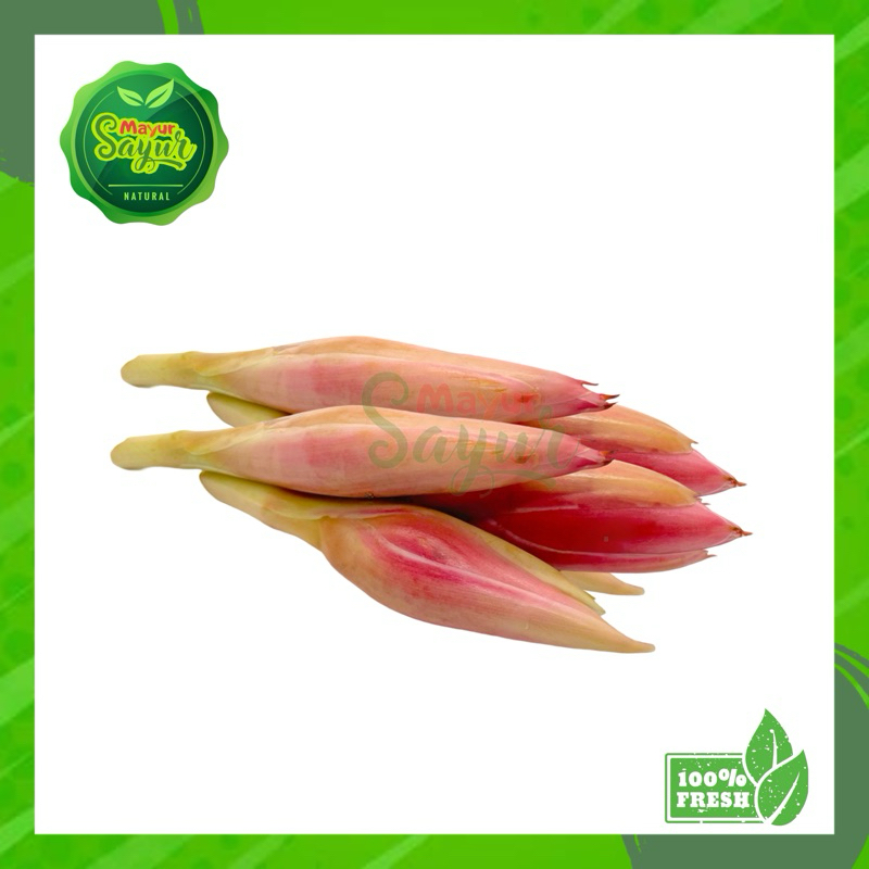 Jual Kecombrang / Kicung / Bunga Rias / Perpack | Shopee Indonesia