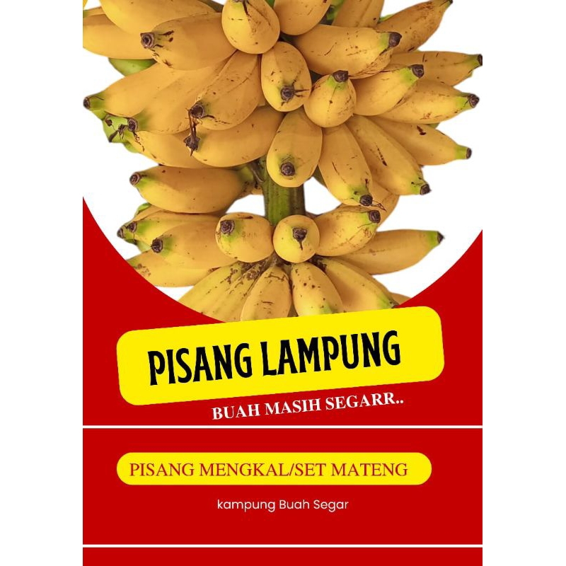 Jual pisang lampung 500gr - 5kg | Shopee Indonesia