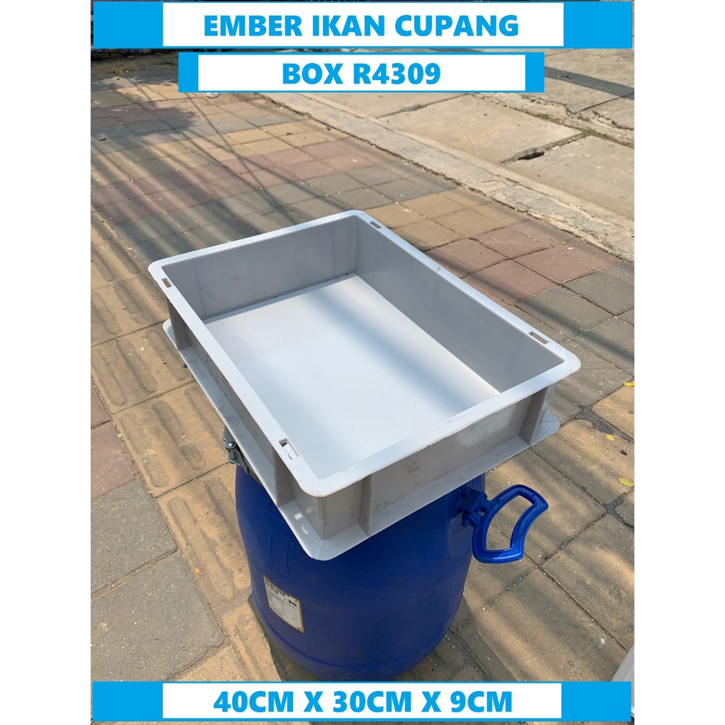 Jual Box Rabbit Box Rapat Box Ikan Box Magot Box Kura Kura Box ikan Koi ...