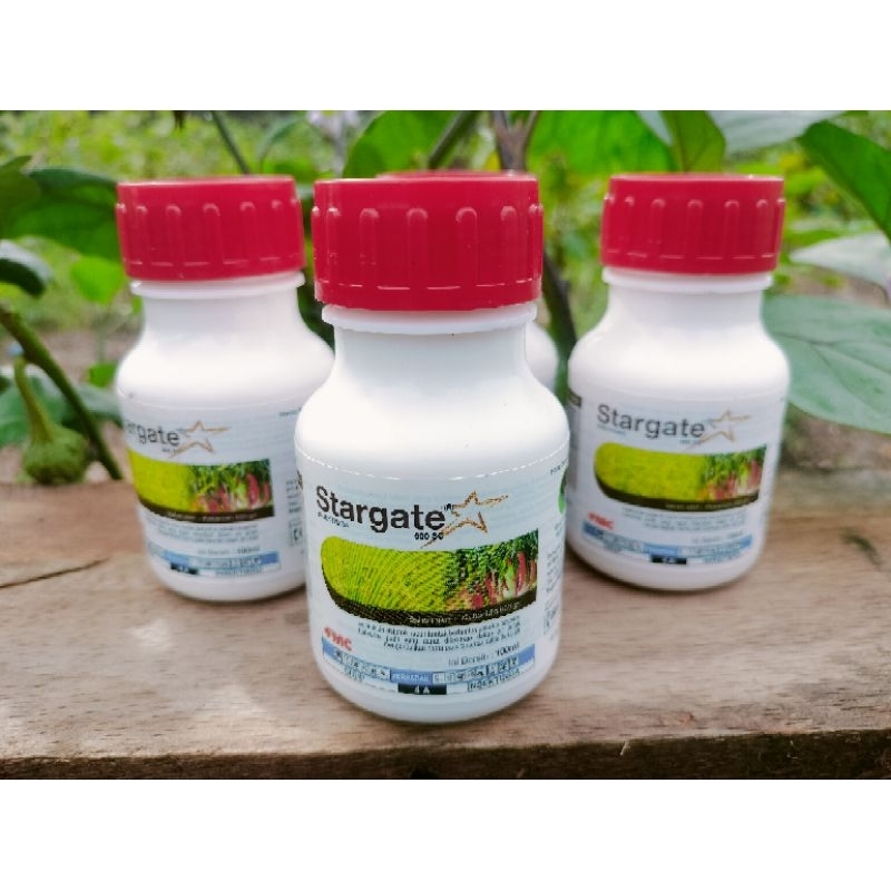 Jual insektisida stargate 600 SC 100ml | Shopee Indonesia
