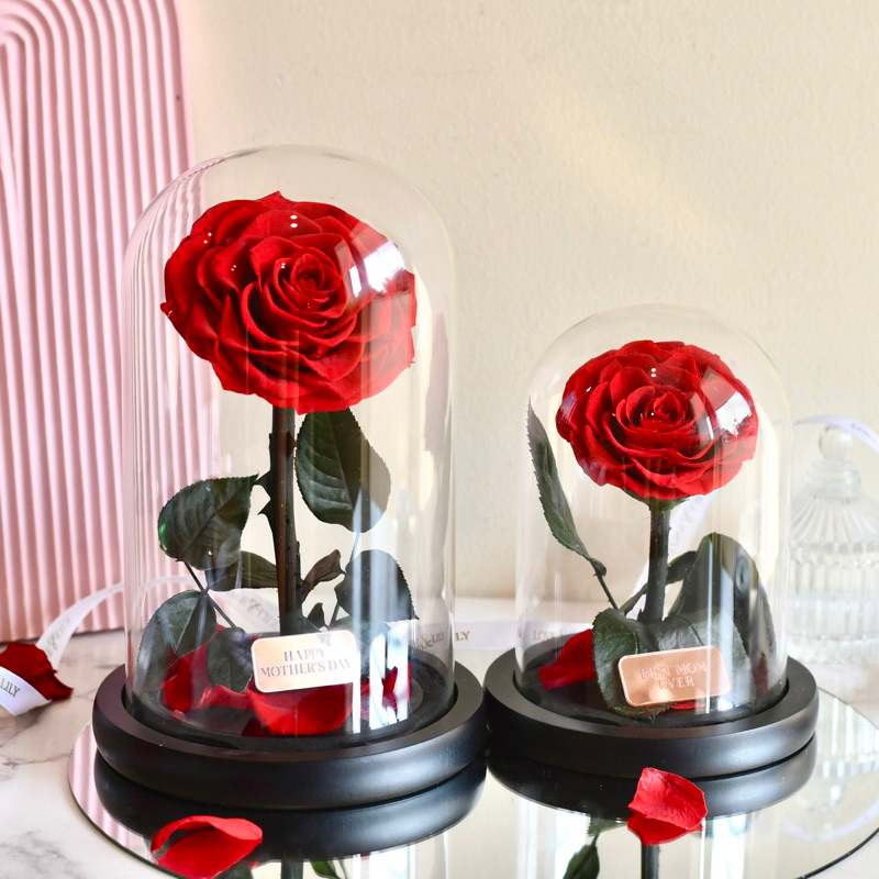 Jual [VALENTINE] Preserved Rose Glass Dome - Kado Hari Ibu Bunga ...