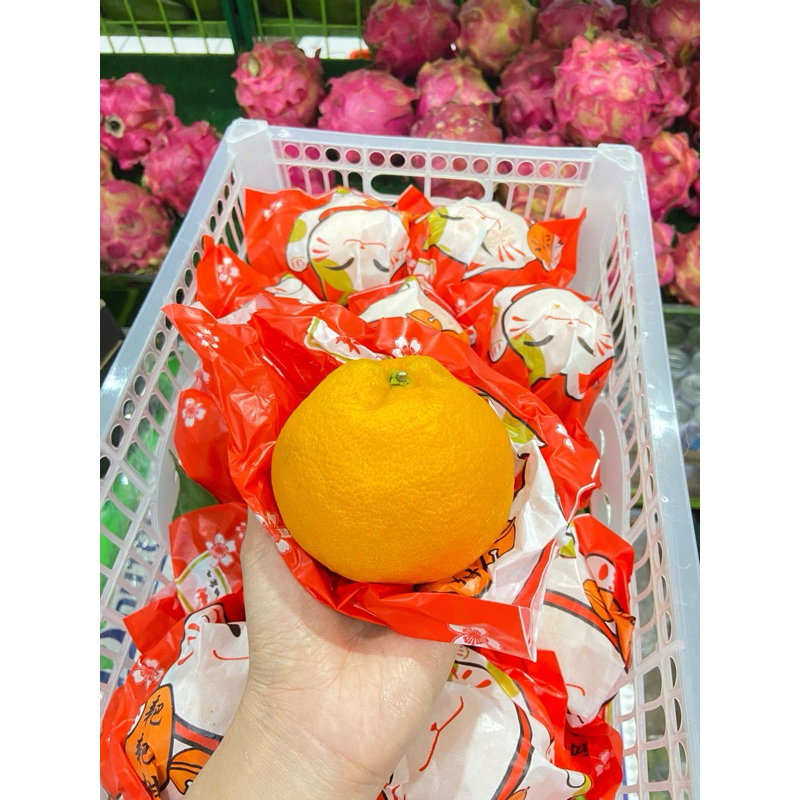 Jual bisa kirim dadakan hampers buah imlek cny jeruk papagan dekopon ...
