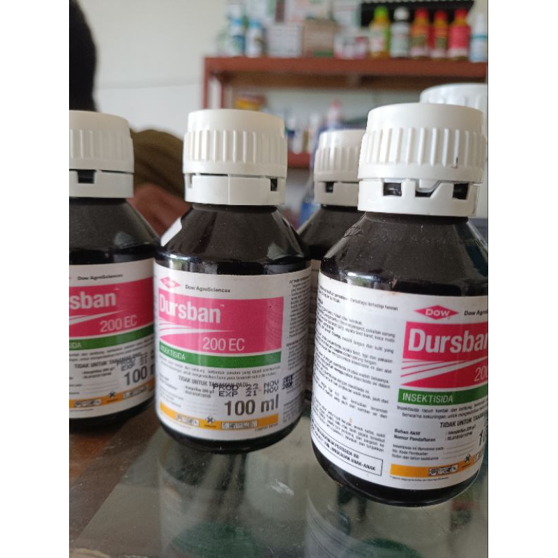 Jual Dursban 200EC 100ml insektisida bahan aktif klorpirifos 200gl ...