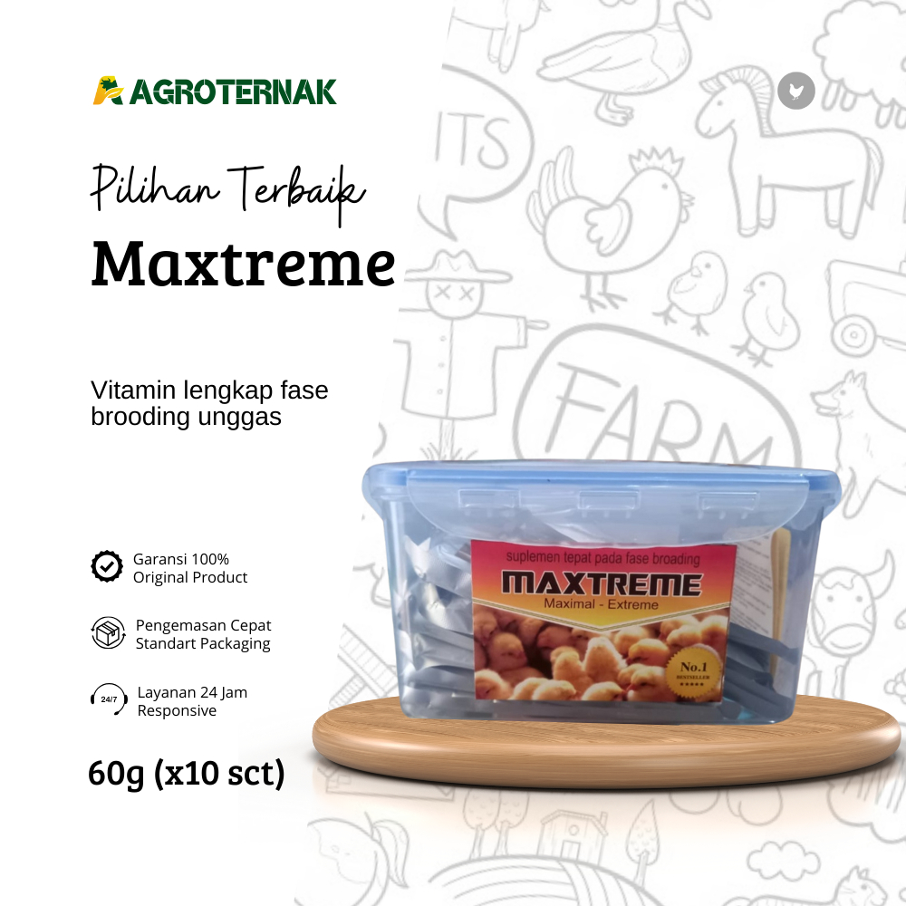 Jual MAXTREME Ayam Broiler Vitamin Brooding DOC Paket 1 Box Isi 10 ...