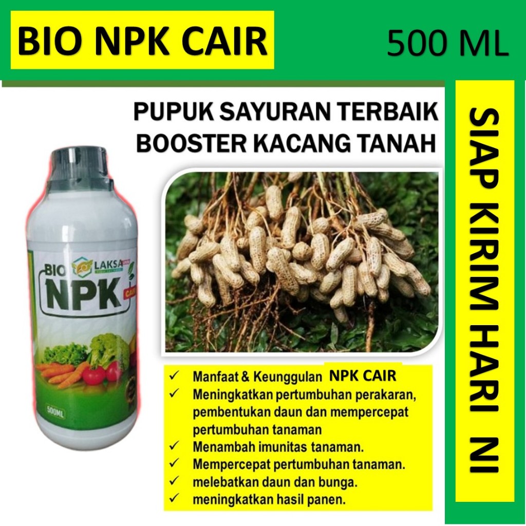 Jual Pupuk Pelebat Buah Kacang Tanah BIO NPK LAKSA500ML Pupuk NPK Cair untuk Mempercepat ...