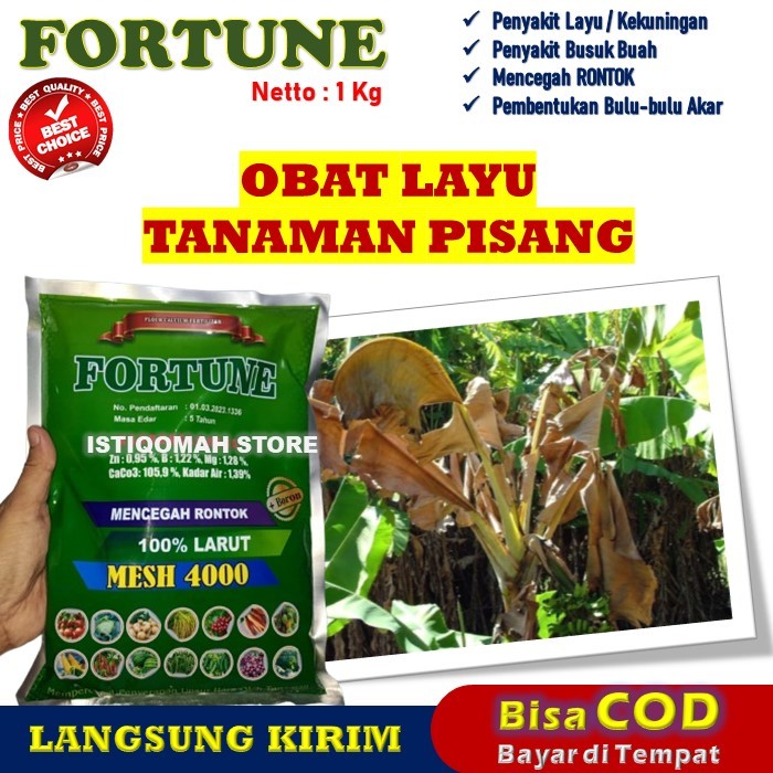 Jual Obat Layu Tanaman Pisang FORTUNE 1 KG Pupuk Kalsium Atasi Layu Fusarium dan Bakteri Secara ...