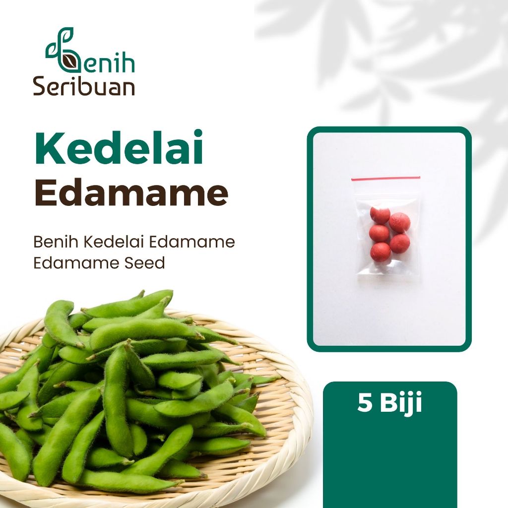 Jual 5 Bibit Kedelai Edamame Super Benih Sayuran Super Ryoko 75 Kacang ...