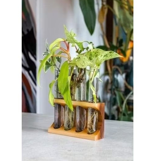 Jual Vas pot bunga kaca dengan frame kayu, Dekorasi kamar aesthetic ...