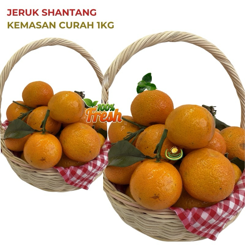 Jual Jeruk Shantang import segar - kemasan curah 1kg | Shopee Indonesia
