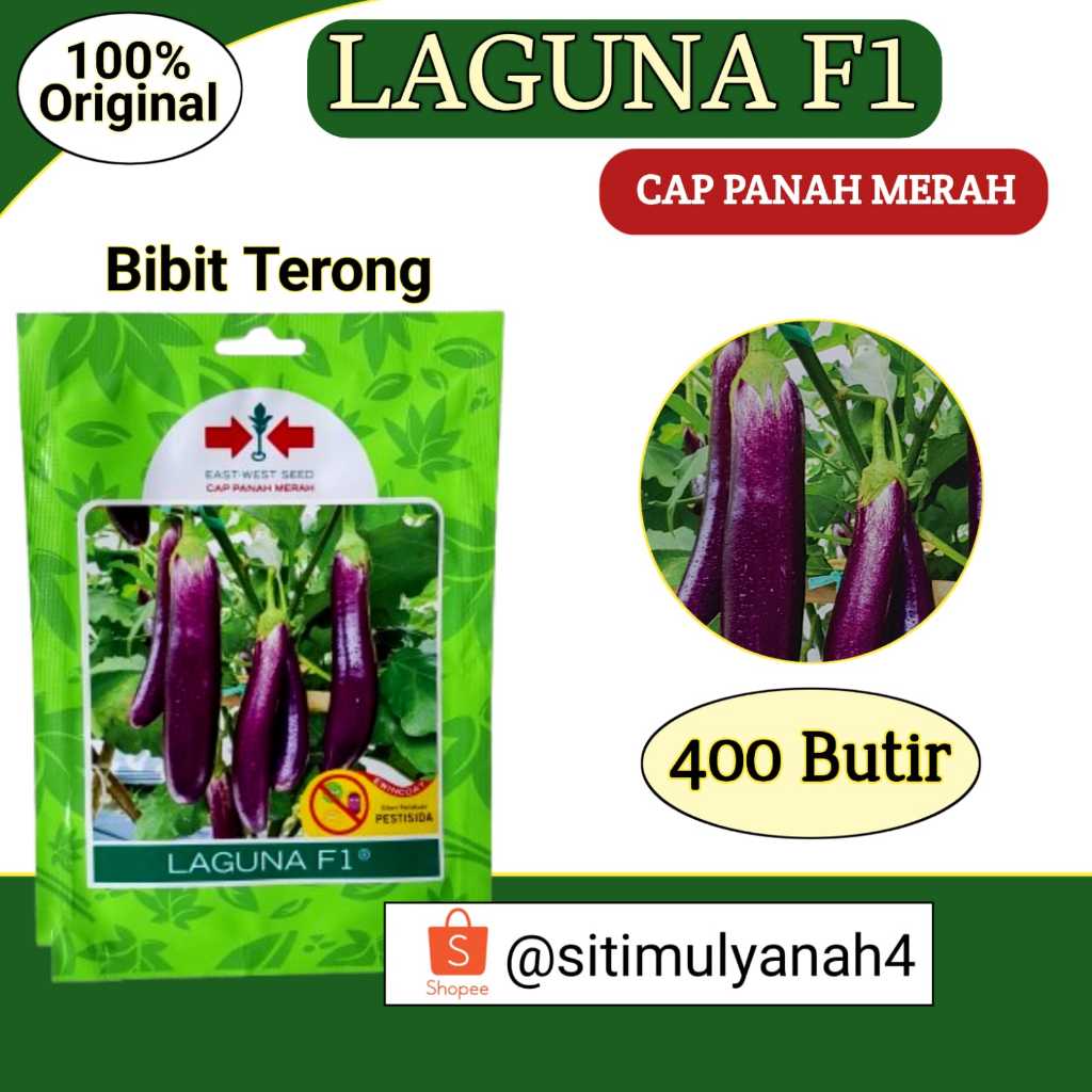 Jual Benih Terong Ungu LAGUNA F1 400 butir Kemasan pabrik Cap Panah Merah | Shopee Indonesia