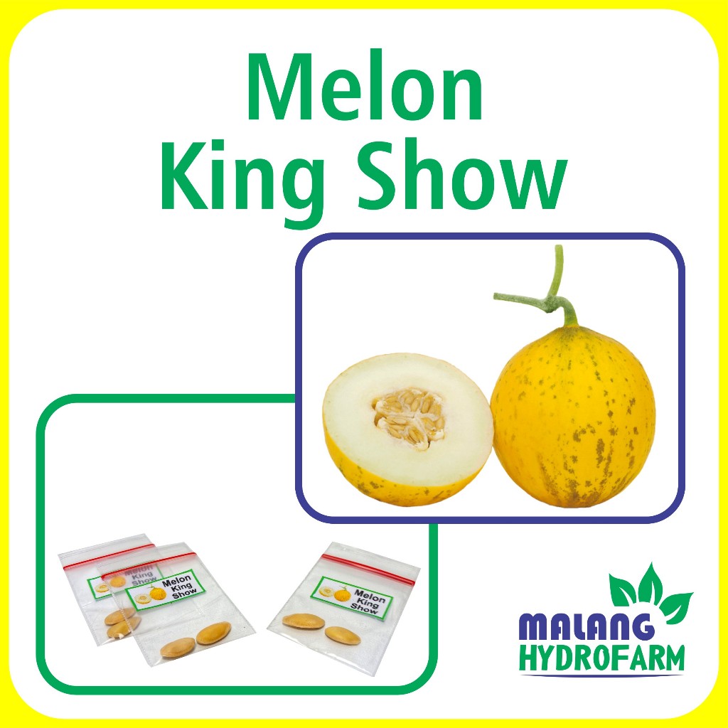 Jual Benih Melon King Show Unggulan Berkualitas biji bibit repack ...