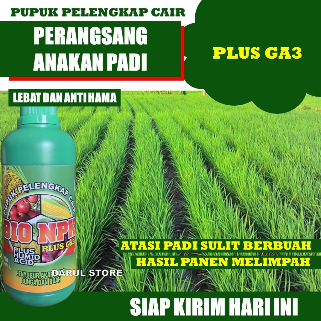 Jual (UNTUNG BESAR) Pupuk Ajaib PERBANYAK ANAKAN PADI - BIO NPK GAZA 500 ML Panen Padi Lebih ...