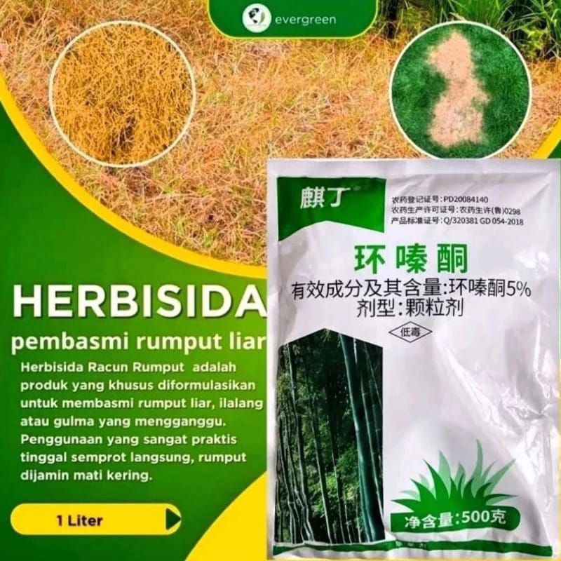Jual New Herbisida Kill Grass Biologis Bubuk 1 Kantung 200gram Untuk ...