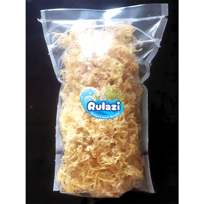Jual Rumput Laut Kering Segar, Eucheuma cottoni. Asli dari pembudidaya ...