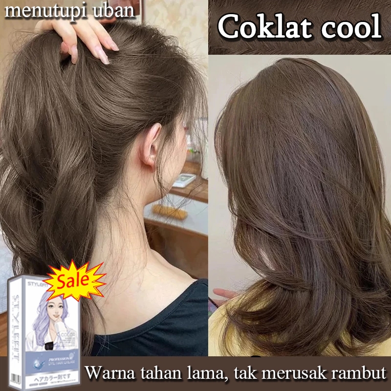 Jual 【Gratis hair mask dan alat cat】Cat rambut 210ml Coklat cool warna ...