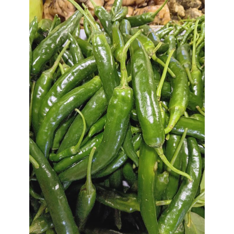 Jual cabe ijo besar 250gr | Shopee Indonesia