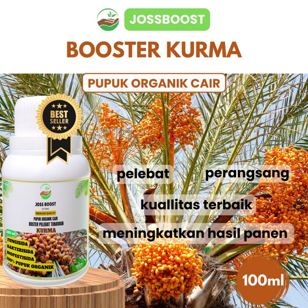 Jual booster cair KURMA melebatkan buah maksimal 100ml, pupuk cair organik untuk buah KURMA ...