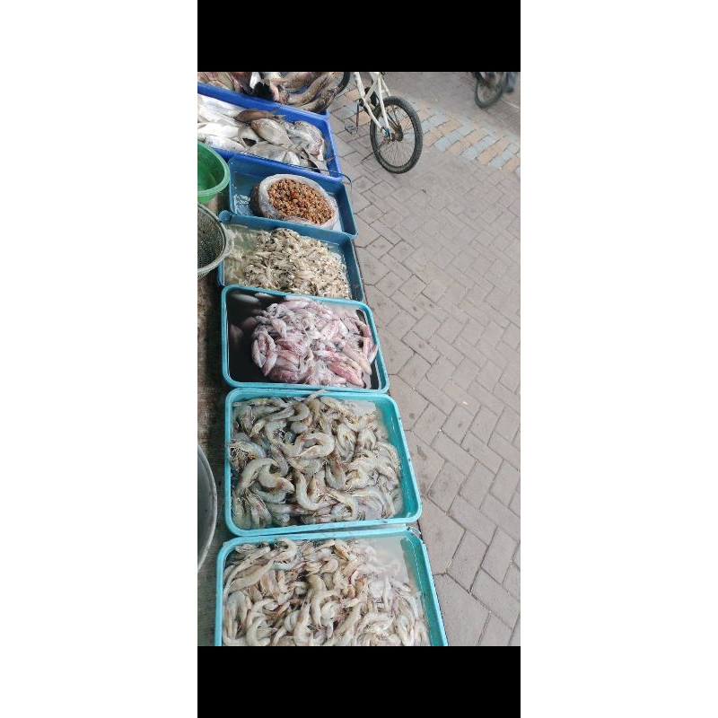 Jual udang besar +- 1kg | Shopee Indonesia