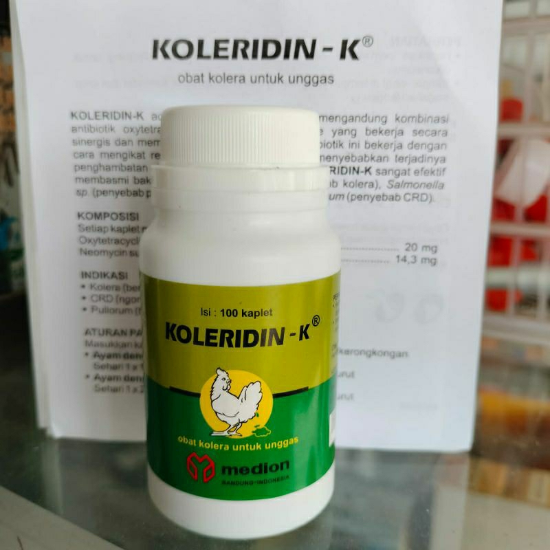 Jual KOLERIDIN -K 100 Kaplet obat diare hijau putih kolera | Shopee ...