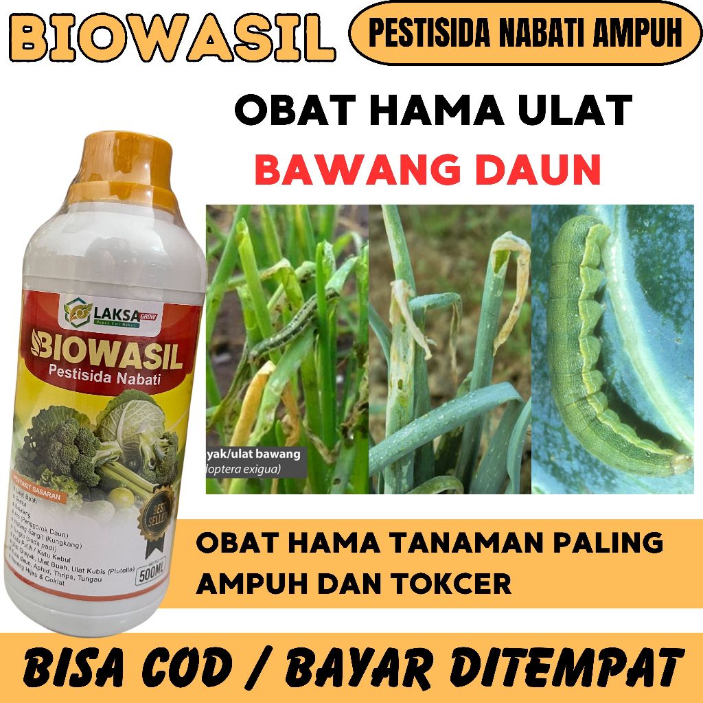 Jual BIOWASIL 500ML Pestisida Nabati Obat Hama Ulat Bawang Daun - Mengatasi Ulat Bawang Paling ...