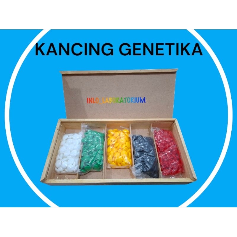 Jual Kancing Genetika 5 Warna/Alat Percobaan Hukum Mendel/Pewarisan ...