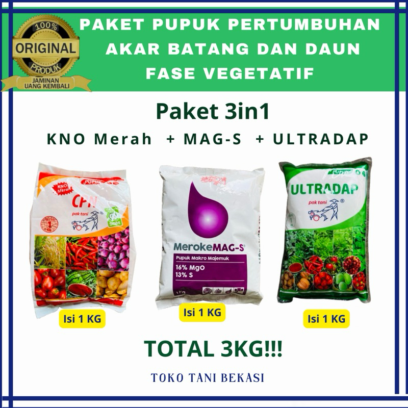 Jual PAKET PUPUK KNO MERAH ULTRADAP & MAG-S KEMASAN ORIGINAL PABRIK 3KG UNTUK PERTUMBUHAN AKAR ...