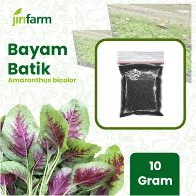 Jual JIRIFARM - Benih Bibit Bayam Batik Seribuan Unggul | Shopee Indonesia