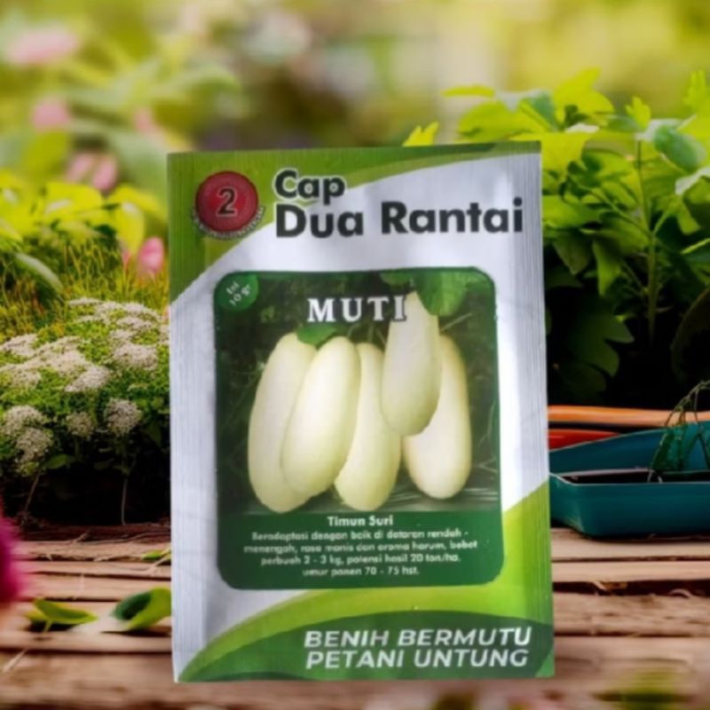 Jual Bibit Benih Timun Suri Muti Isi 10 gram | Shopee Indonesia