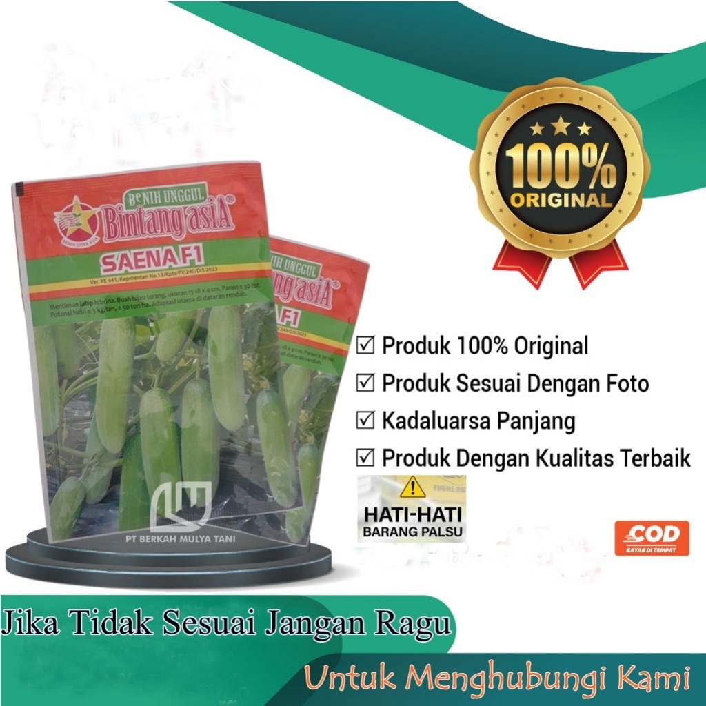 Jual Bibit Benih Timun Saena F1 20 Gram Mentimun Lalap Hibrida Bintang ...