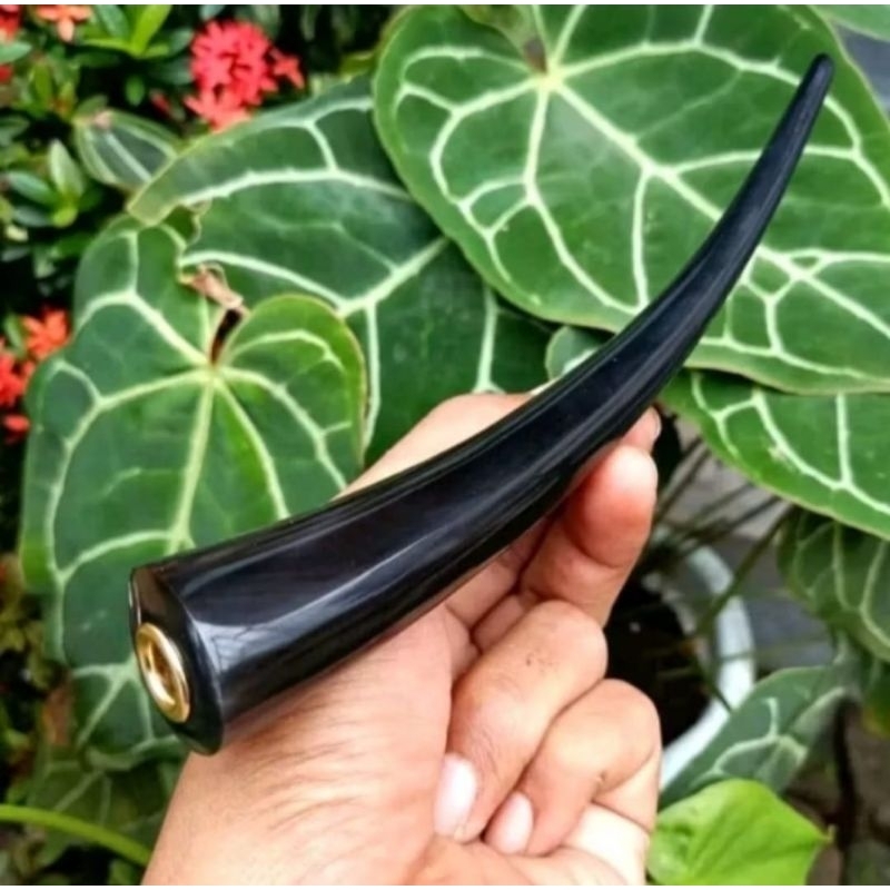 Jual ONCE PIPA TANDUK KERBAU SUPER PANJANG | Shopee Indonesia