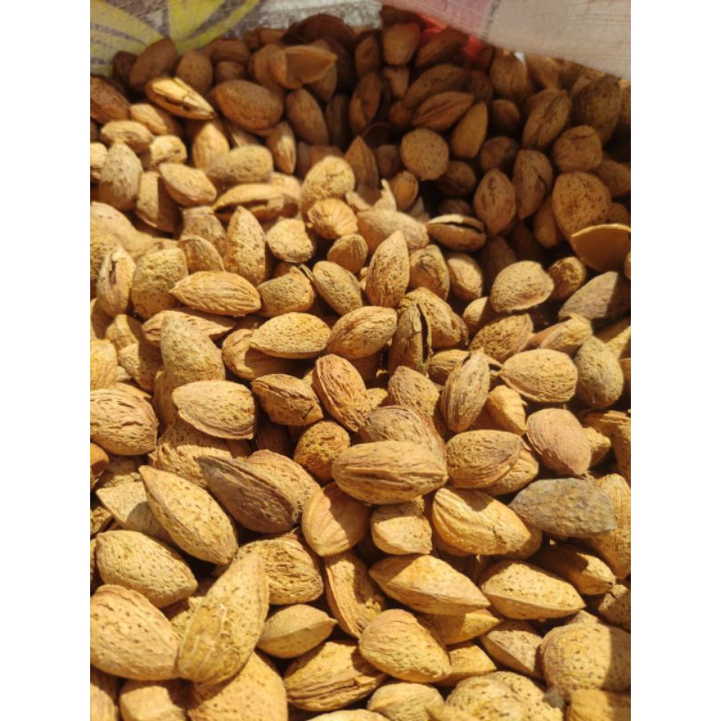 Jual Kacang Almond Kulit Panggang Milky 1kg | Shopee Indonesia