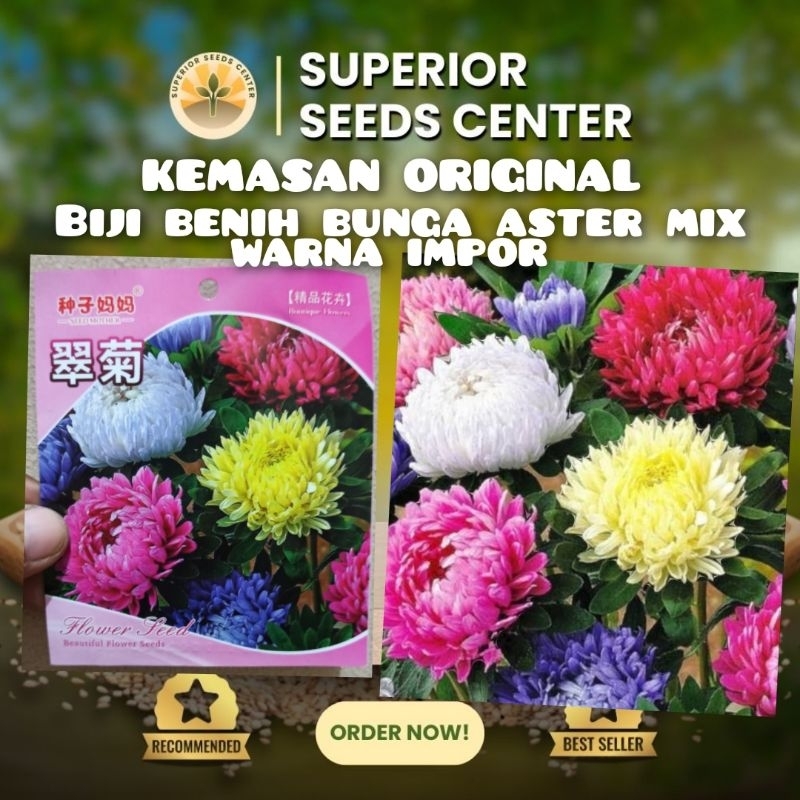 Jual KEMASAN ORIGINAL BIJI BENIH BUNGA ASTER MIX WARNA IMPOR | Shopee Indonesia