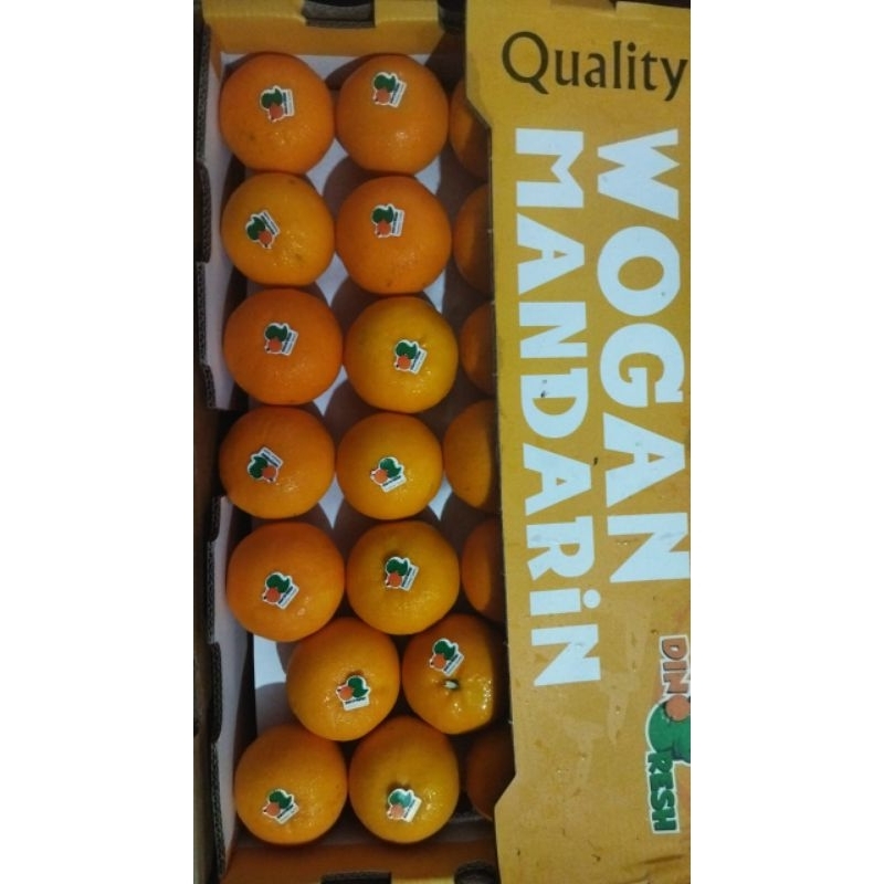 Jual jeruk wogan mandarin dinofresh/kg | Shopee Indonesia