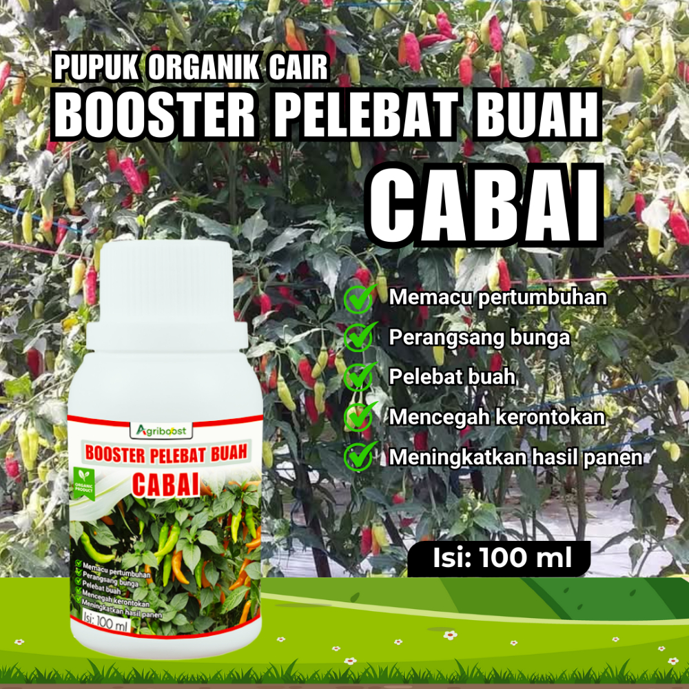 Jual Pupuk organik cair booster pelebat buah tanaman cabai100 ml,pupuk tanaman cabai cepat ...