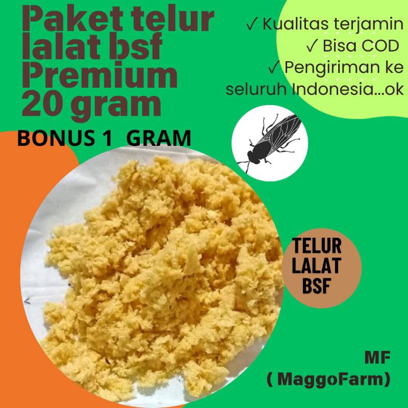 Jual TELUR LALAT BSF/ TELUR MAGGOT/ TELUR BSF PAKET 20 GRAM BONUS 1 ...