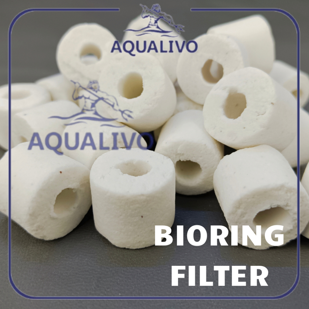 Jual Bioring Media Filter Aquarium Bio Ring Care Keramik Aquascape ...