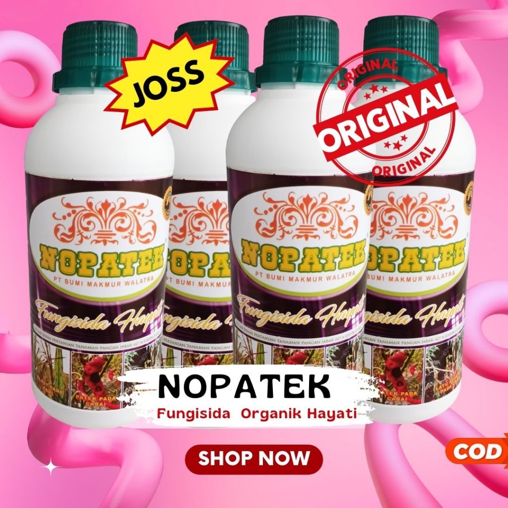 Jual NOPATEK Obat Virus Kuning Cabai | Fungisida Hayati Trichoderma sp ...