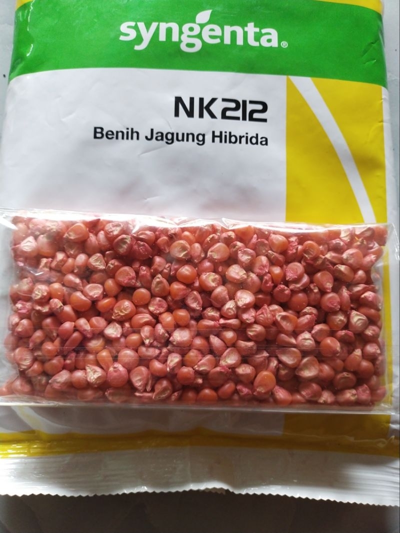 Jual NK 212 Benih jagung Eceran 100 gram. Benih jagung hibrida kemasan ...