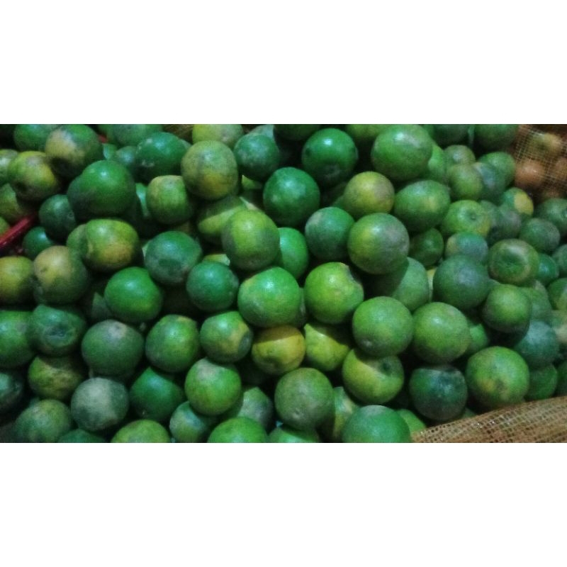 Jual Jeruk Baby Java Malang, Paket Hemat 10Kg (Ukuran Kecil-Sedang ...