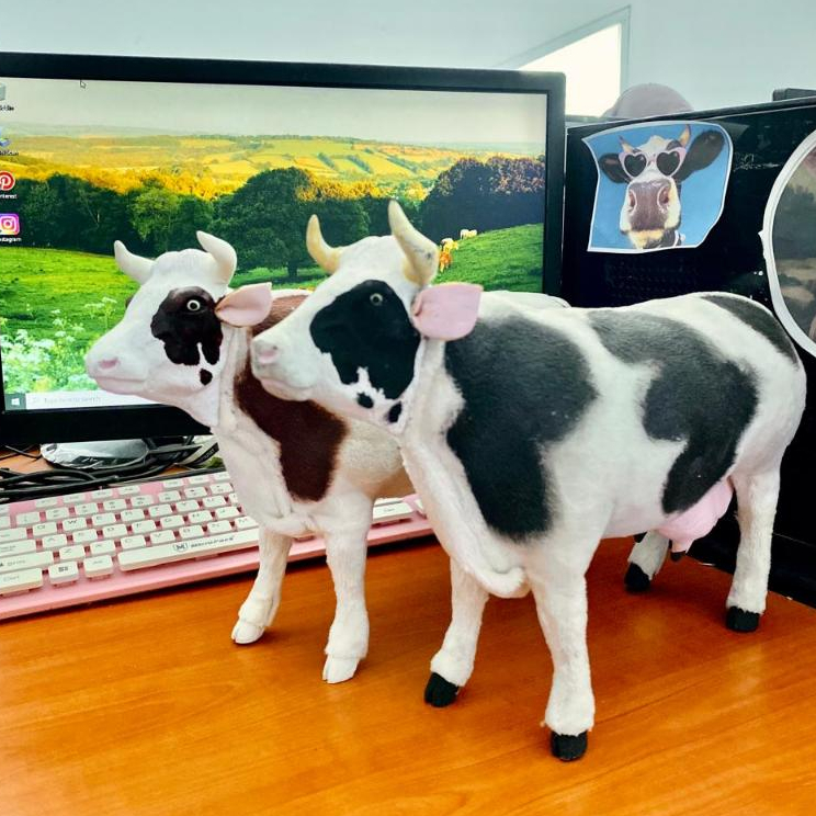 Jual miniatur sapi, patung sapi mini, action figure sapi | Shopee Indonesia