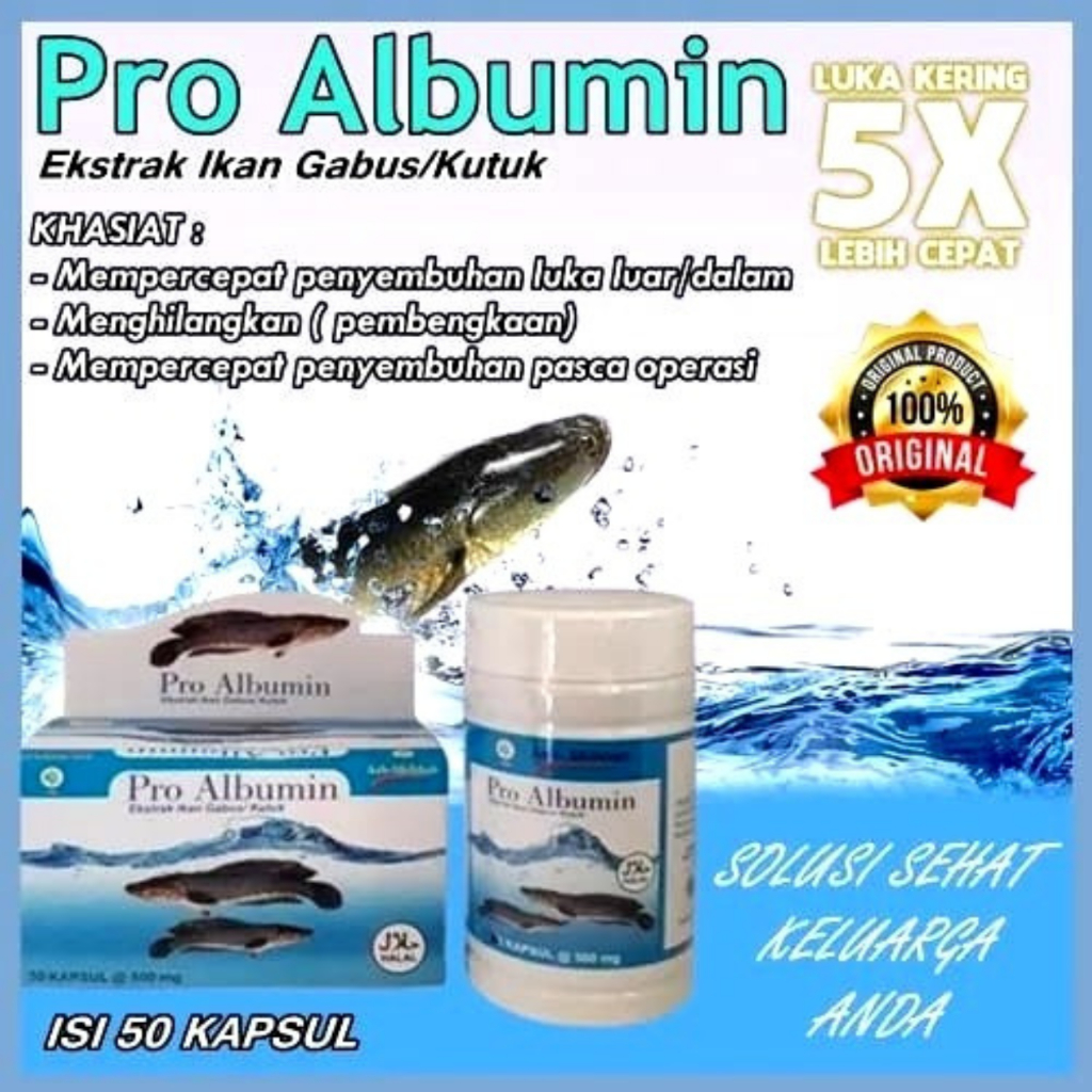 Jual Pro Albumin Proalbumin Kapsul Extrak Ikan Gabus Ikan Kutuk ASH ...