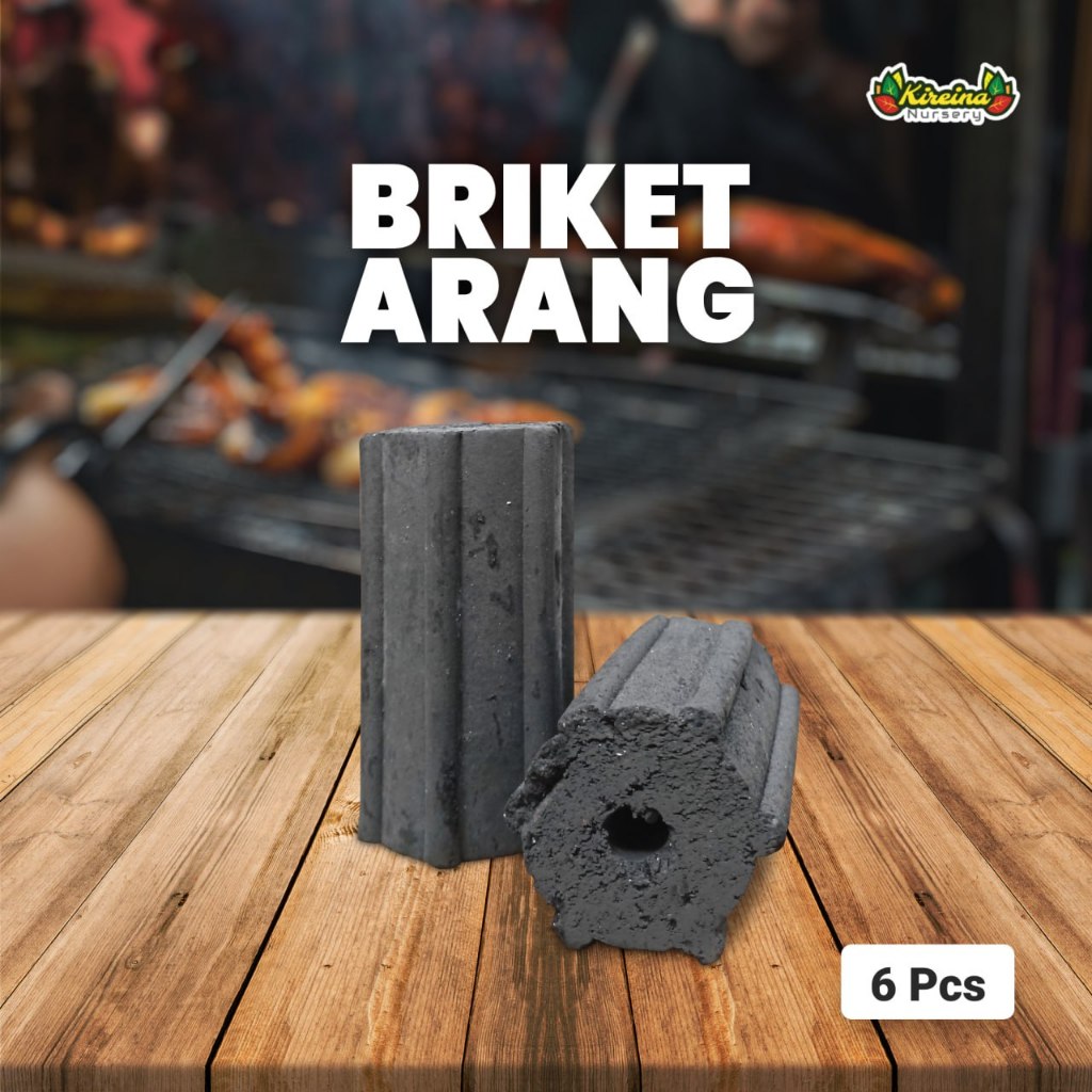 Jual Arang Briket Batok Kelapa Cube 1 Kg BBQ | Shopee Indonesia