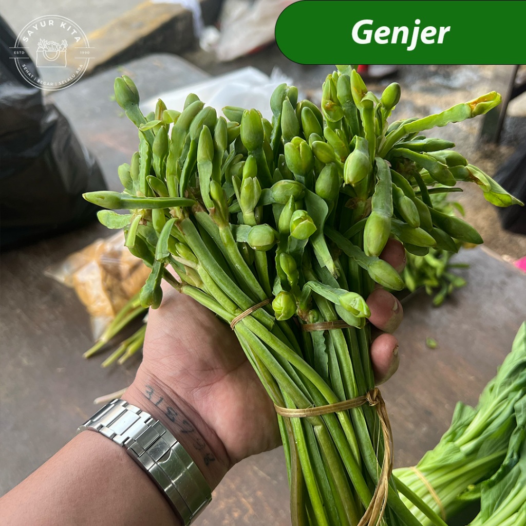 Jual Genjer lalapan segar | sayurkita_id | Shopee Indonesia