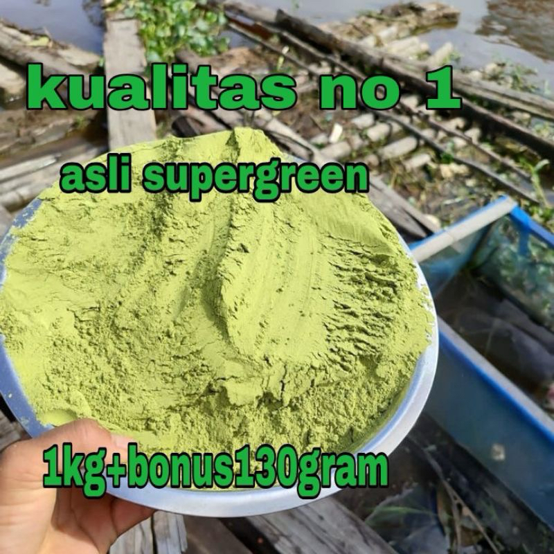 Jual (gratis 130 gram) bubuk purli bubuk daun purlik kalimanatan ...