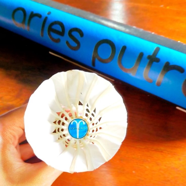 Jual Serbu Surprise TOP QUALITY KOK BADMINTON BULU TANGKIS SHUTTLECOCK ...
