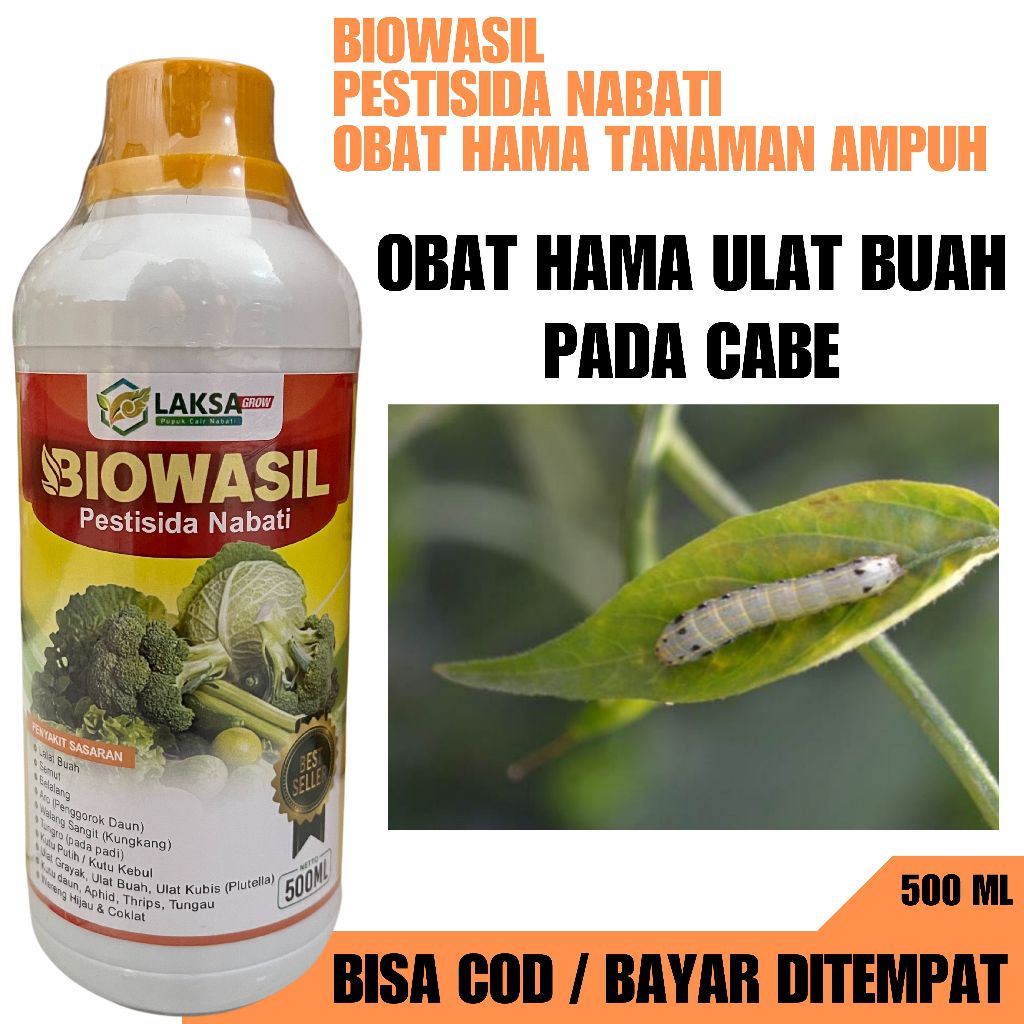 Jual PESTISIDA NABATI PEMBASMI HAMA ULAT PADA TANAMAN CABE PALING AMPUH BIOWASIL 500 ML 100% ...