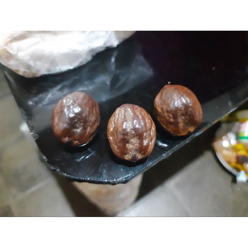 Jual Muncang Adu Jayanti GG dan Jayanti pait | Shopee Indonesia