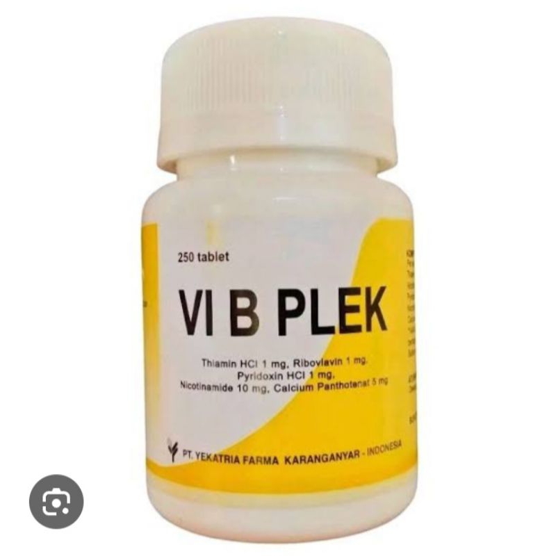 Jual Vitamin B complex yekatria isi 250 tablet | Shopee Indonesia